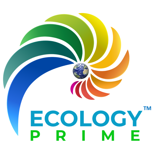 About | Finance Team | Accelerate Accounting